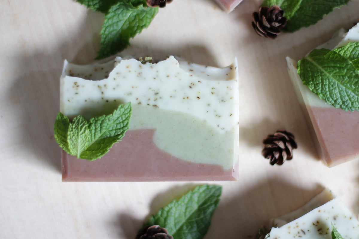 ForestMint_1_1200x1200.jpg?v=1598971854